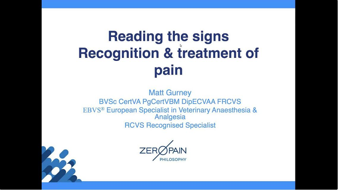 ANZCVS: All courses | ANZCVS